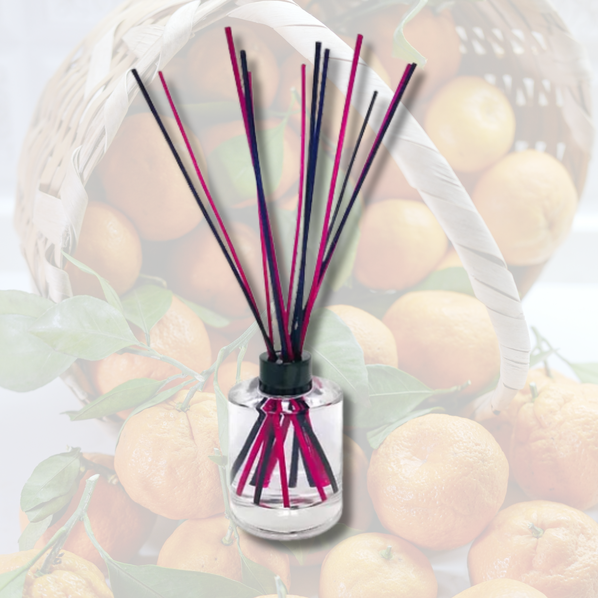Satsuma Reed Diffuser – Aromasaurus